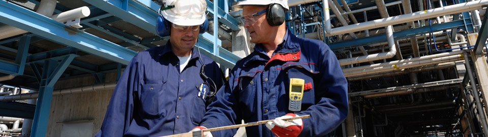 More Than 450,000 Louisiana Workers Are Employed In Occupations ...